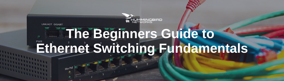 Switch Guide- Hummingbird Networks